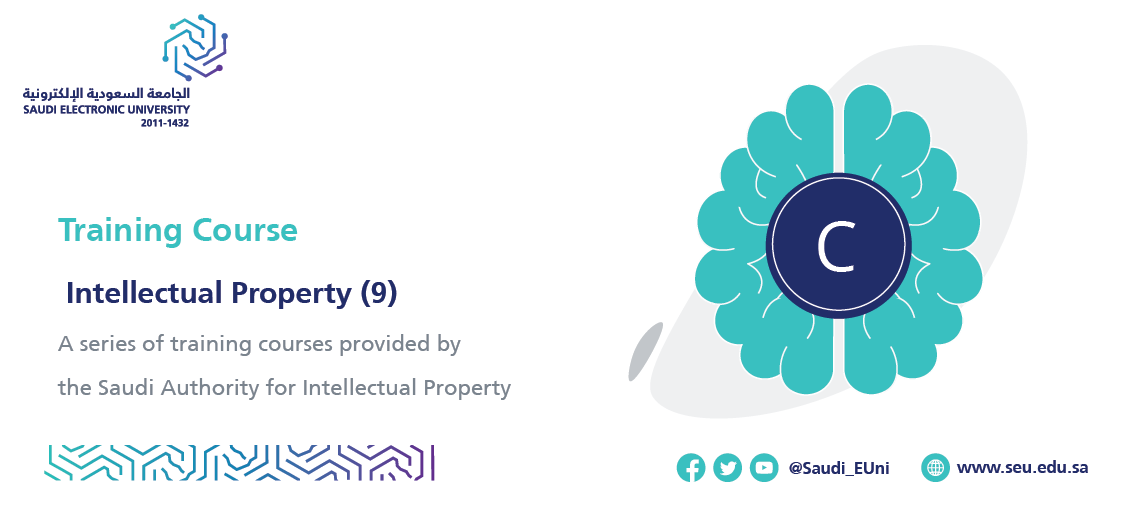 Training Courses in Intellectual Property (9)